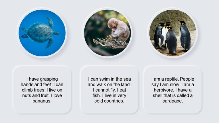 Powerpoint Game Templates For Teachers – MasterBundles