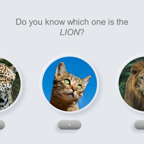 Powerpoint Game Templates For Teachers | MasterBundles