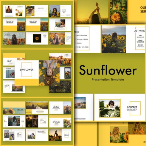 Sunflower - Multipurpose Powerpoint Presentation – MasterBundles