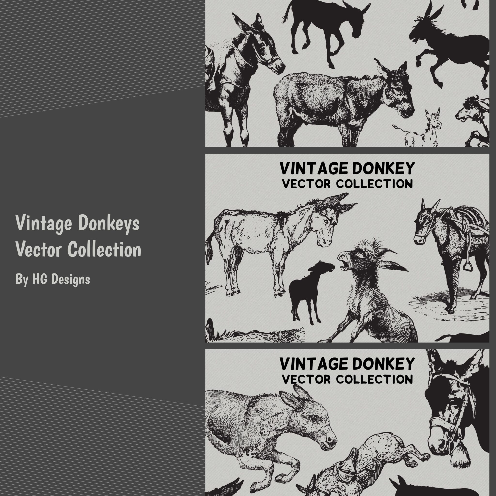 Vintage Donkeys Vector Collection – MasterBundles