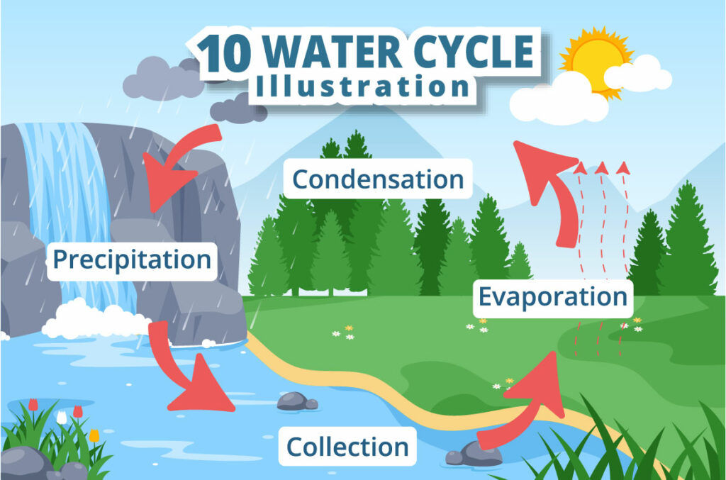 10 Water Cycle Earth Illustration - MasterBundles