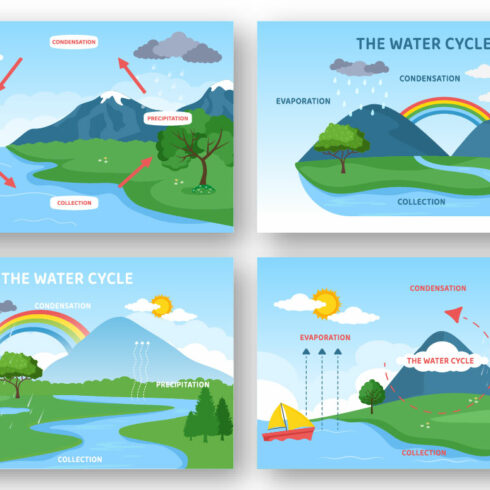 10 Water Cycle Earth Illustration | MasterBundles