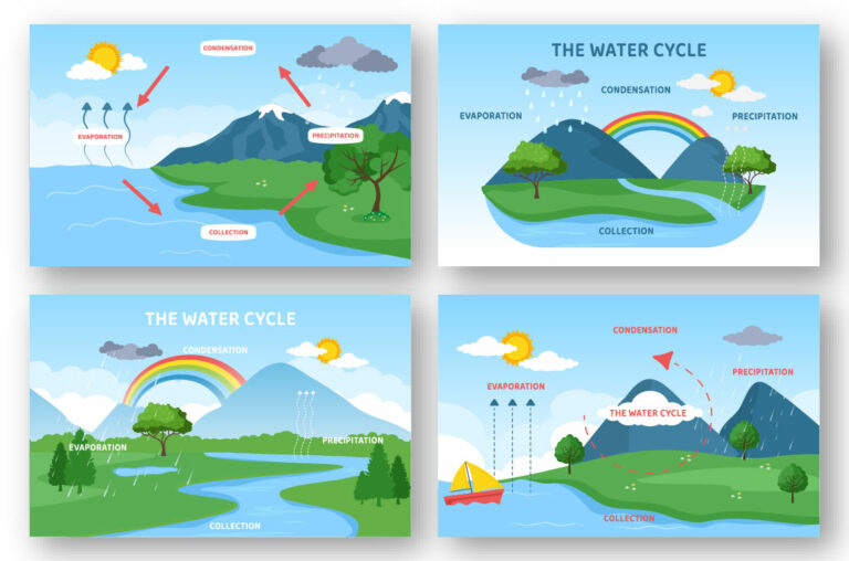 10 Water Cycle Earth Illustration - MasterBundles