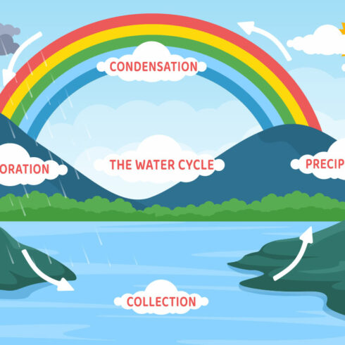 10 Water Cycle Earth Illustration | MasterBundles