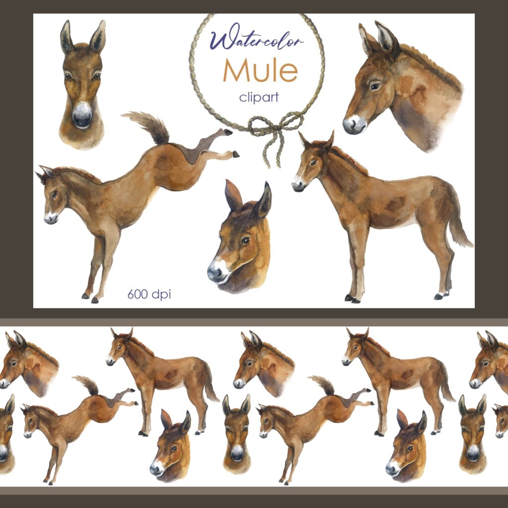 Watercolor Cute Farm Mule Clipart – MasterBundles