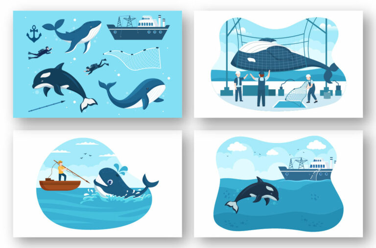 8 Whale Hunting Illustration - MasterBundles