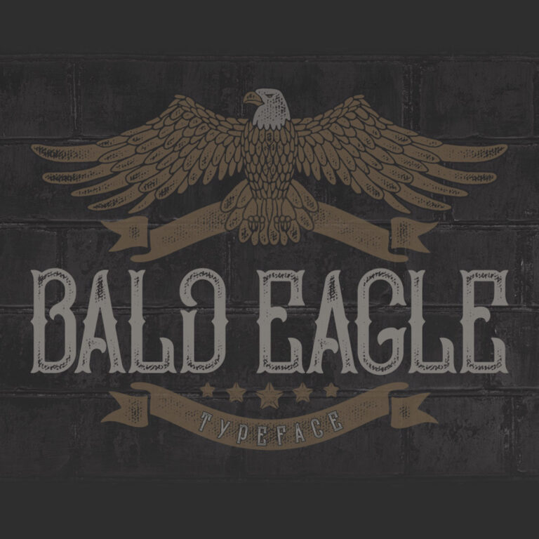 Bald Eagle Typeface - MasterBundles