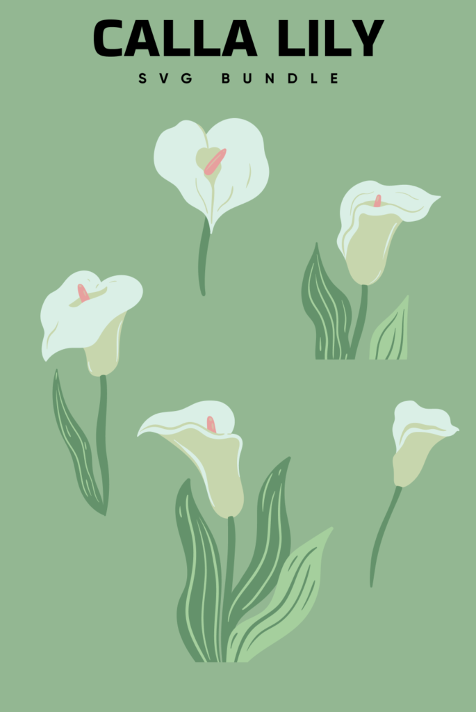 Calla Lily SVG Designs – MasterBundles