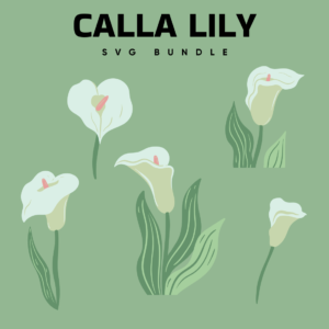 Calla Lily SVG Designs – MasterBundles