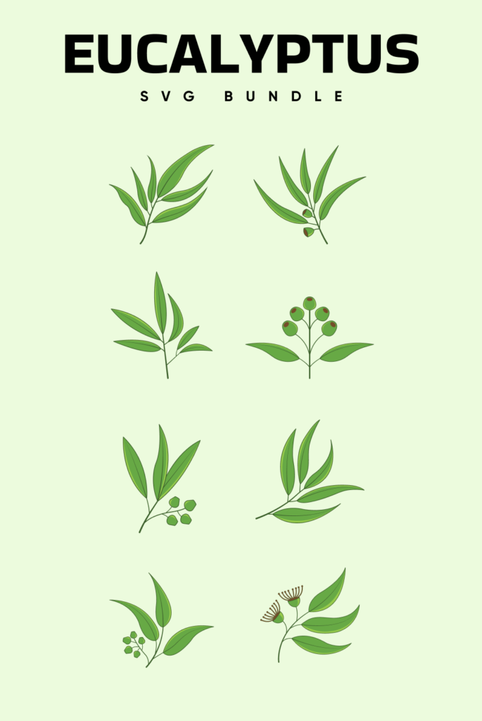 Eucalyptus SVG Designs – MasterBundles