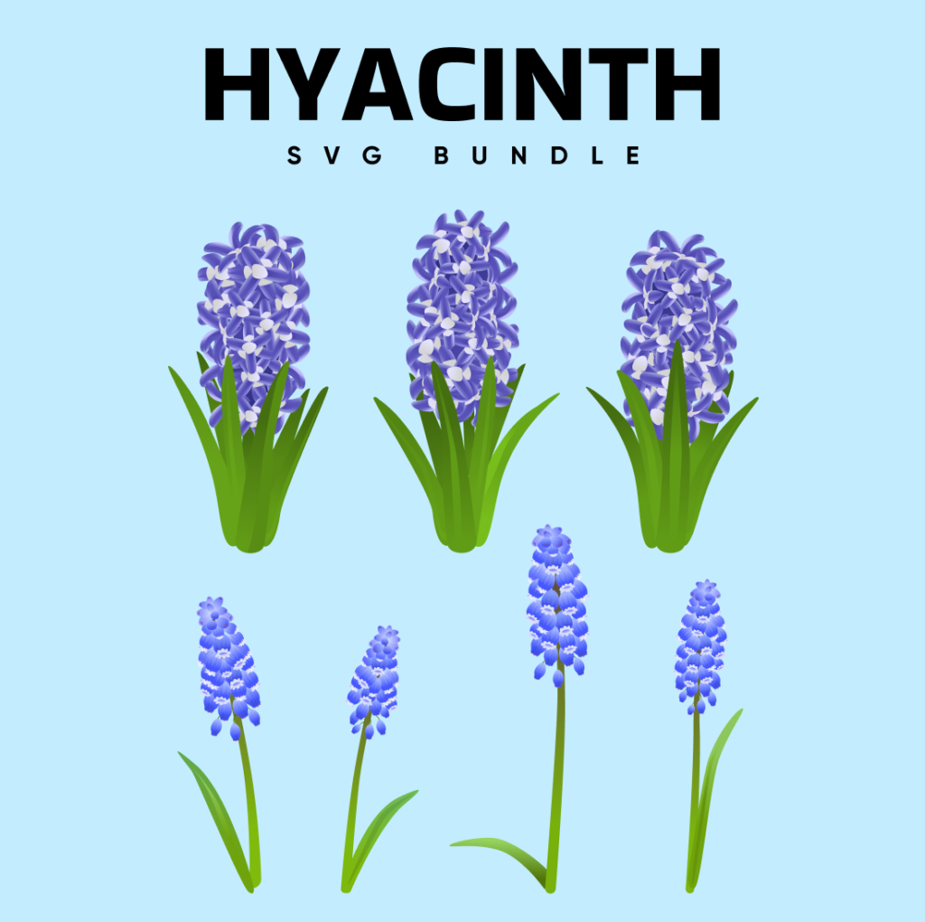 Hyacinth SVG Designs – MasterBundles