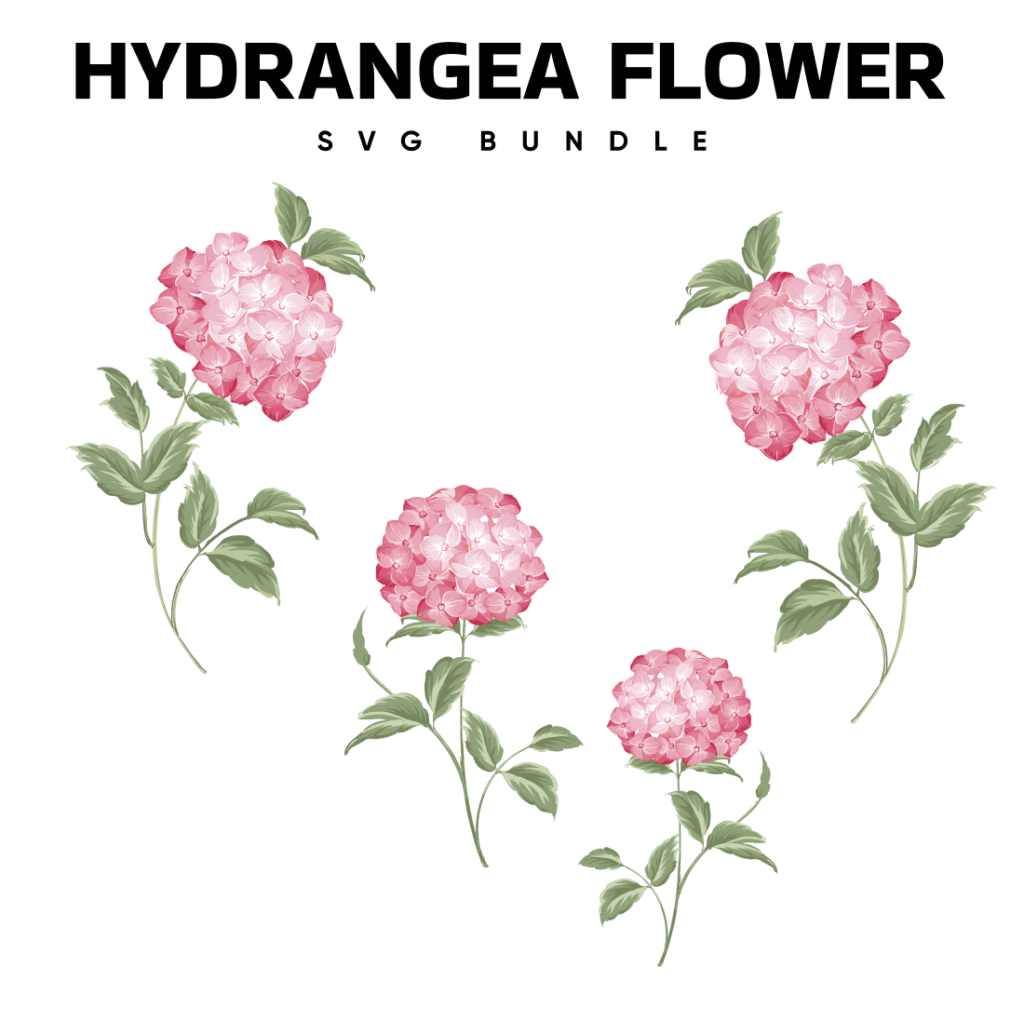 Hydrangea SVG Files – MasterBundles