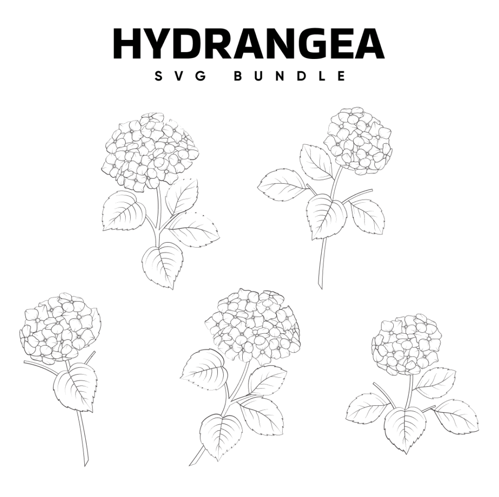 Hydrangea SVG Free – MasterBundles
