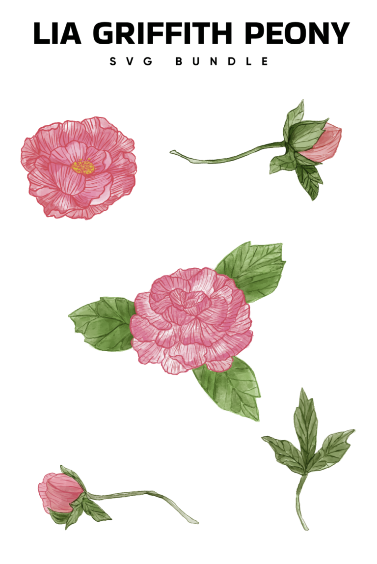 Lia Griffith Peony Svg File – MasterBundles