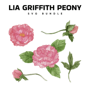 Lia Griffith Peony Svg File – MasterBundles