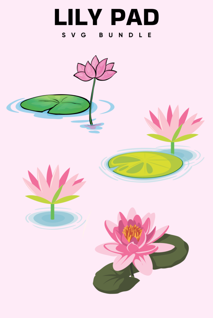 Lily Pad SVG Designs – MasterBundles