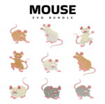 Mouse SVG Free – MasterBundles