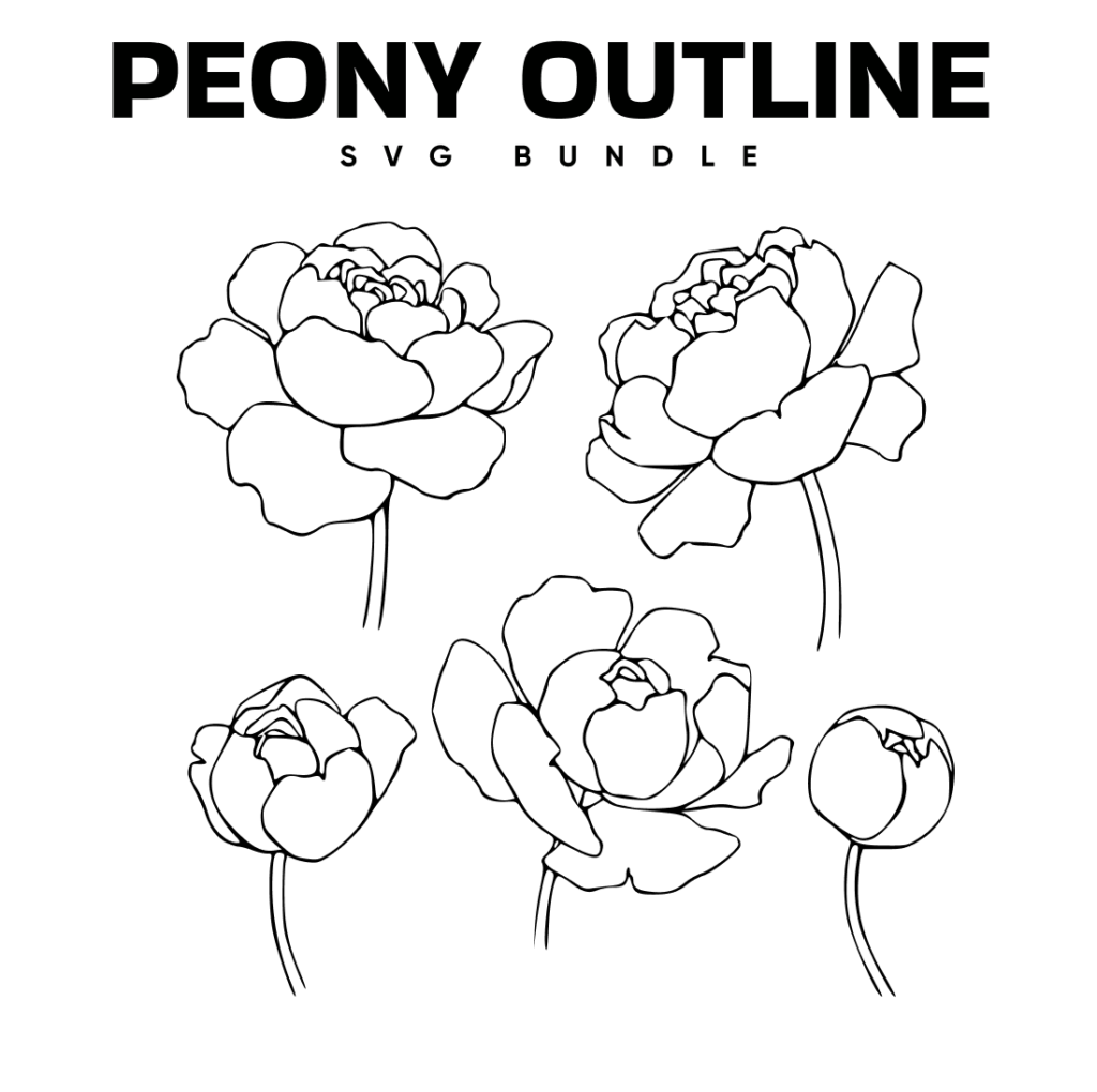 Peony Outline SVG – MasterBundles