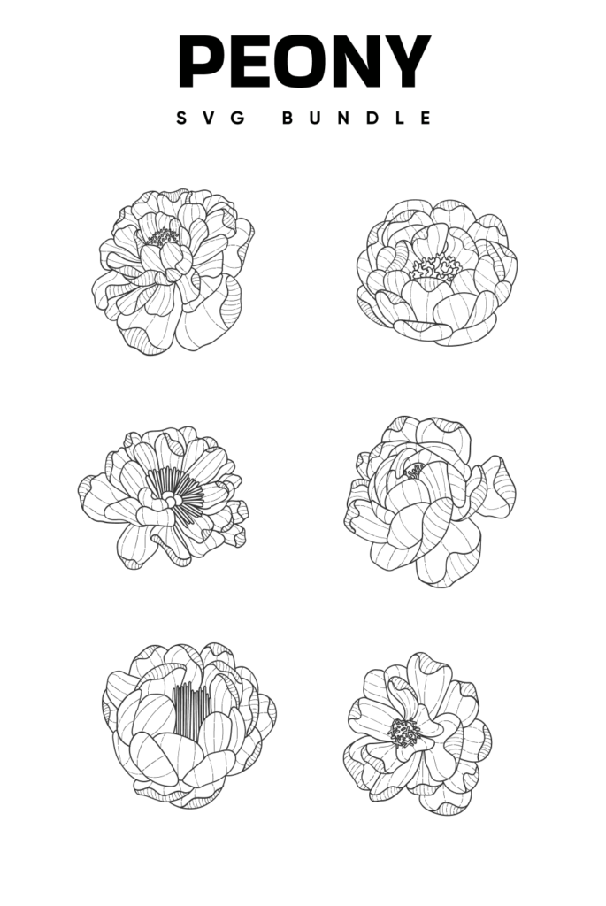 Peony SVG Designs – MasterBundles