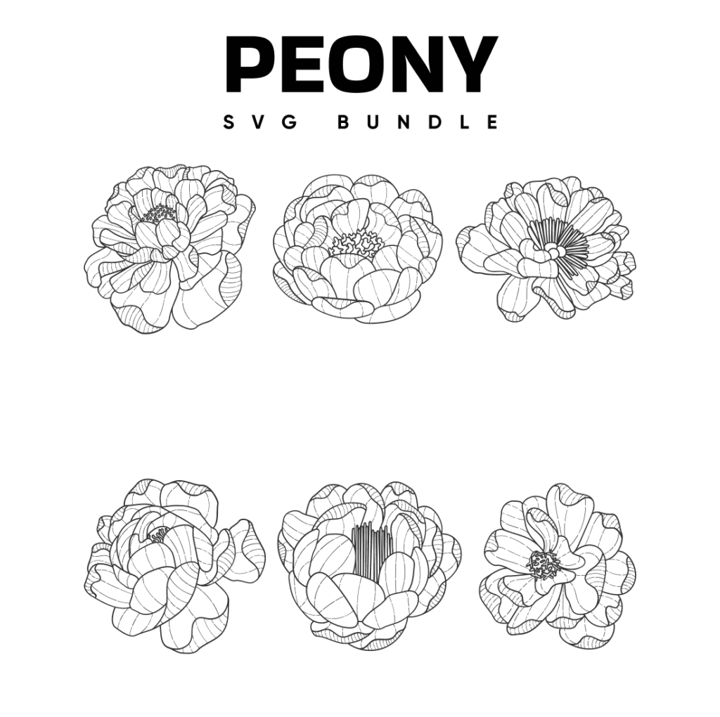 Peony Outline SVG – MasterBundles