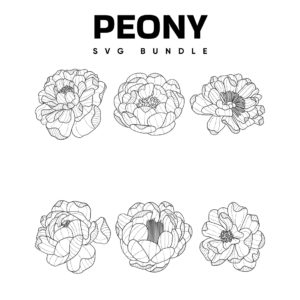 Peony SVG Designs – MasterBundles