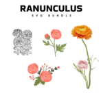 Ranunculus SVG – MasterBundles