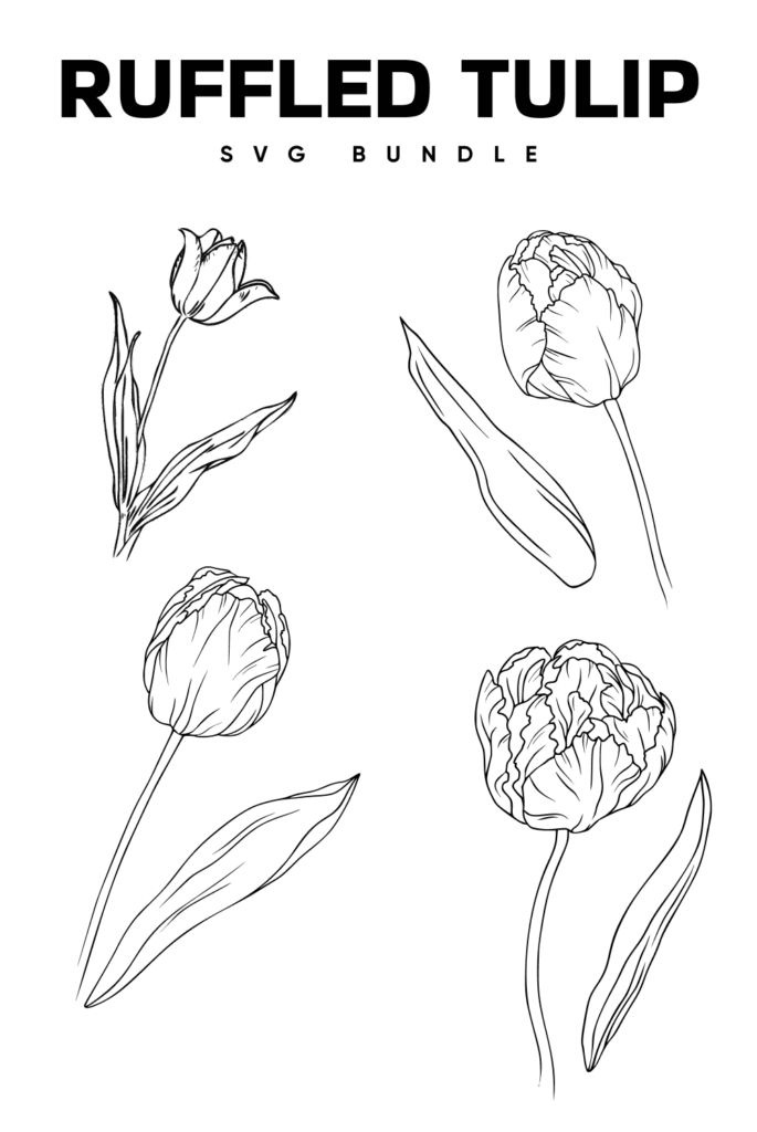 Ruffled Tulip SVG – MasterBundles