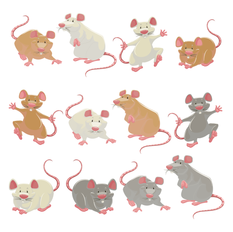 Mouse SVG Free – MasterBundles