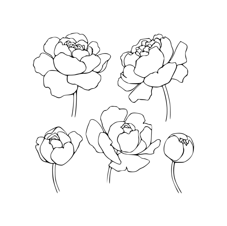Peony Outline SVG – MasterBundles