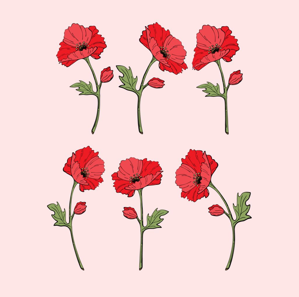 Poppy SVG Designs – MasterBundles