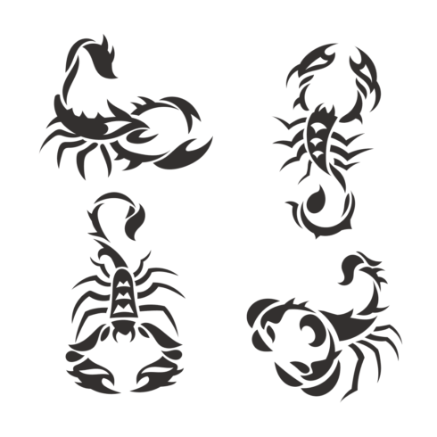 Scorpion SVG Files – MasterBundles