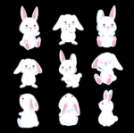 Rabbit SVG Designs Bundle – MasterBundles
