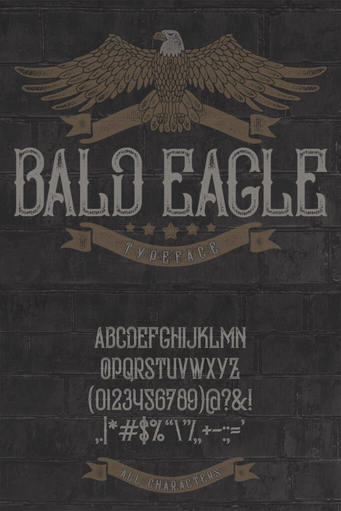 Bald Eagle Typeface - MasterBundles