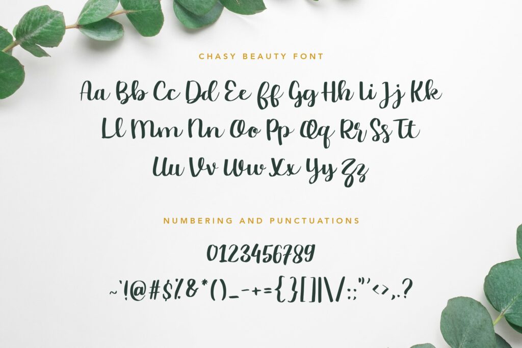 Chasy Beauty Font – MasterBundles
