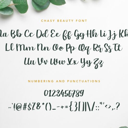 Chasy Beauty Font – MasterBundles