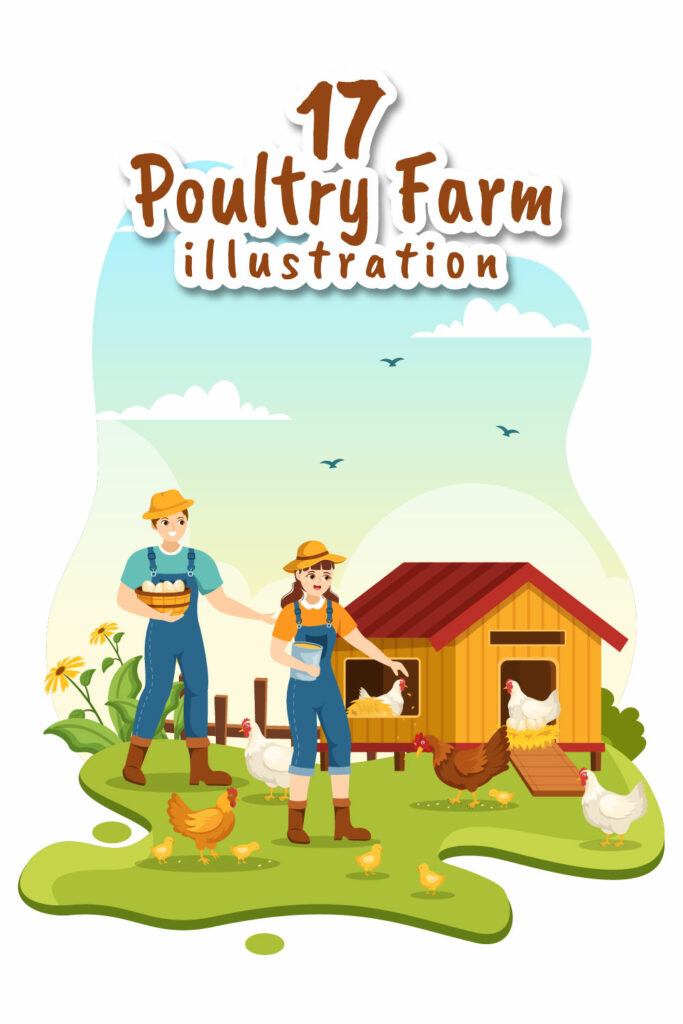17 Poultry Farm Design Illustration - MasterBundles