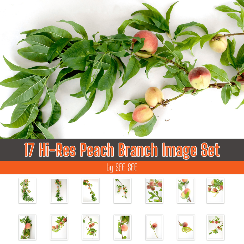 17 Hi-Res Peach Branch Image Set – MasterBundles