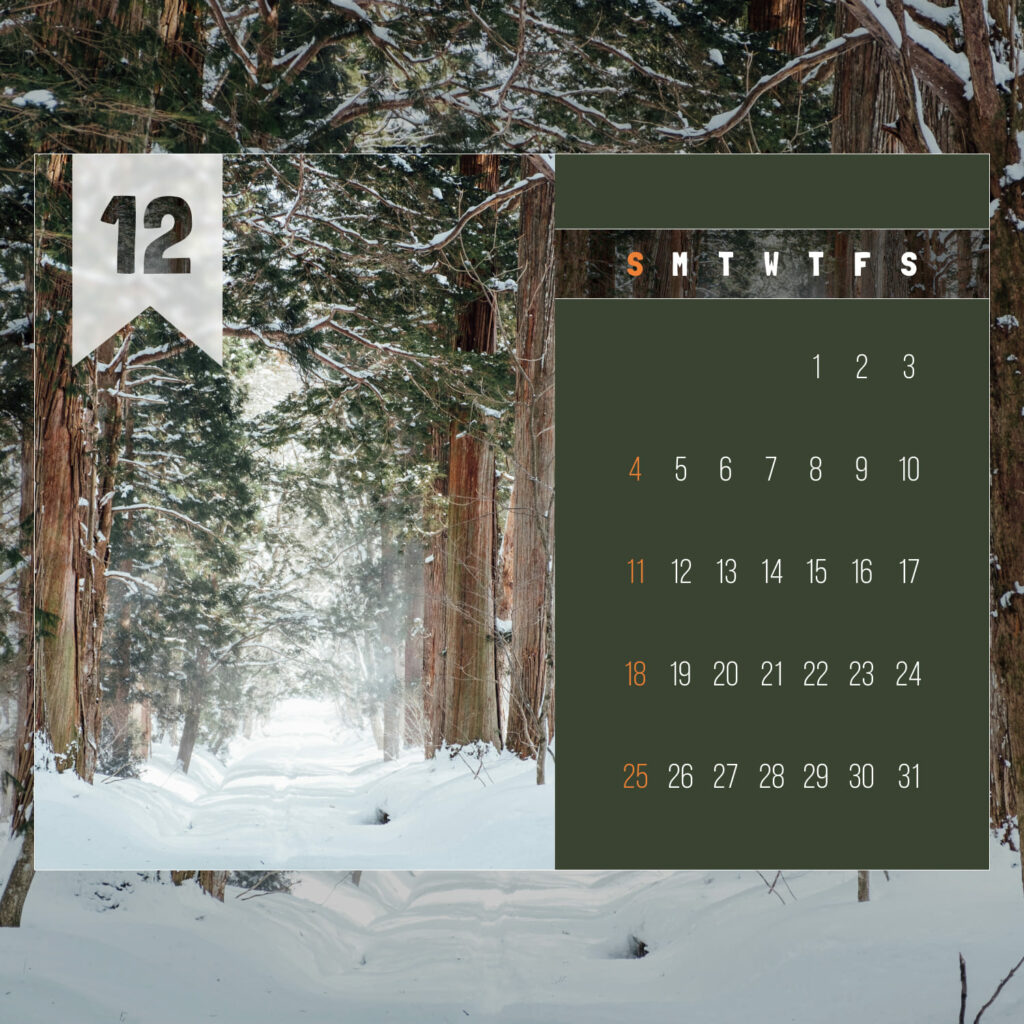 Free December Forest Calendar – MasterBundles