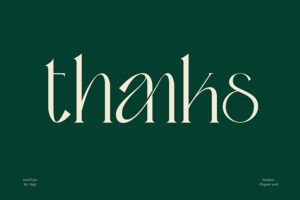 Alena Serif Font – only $15 - MasterBundles