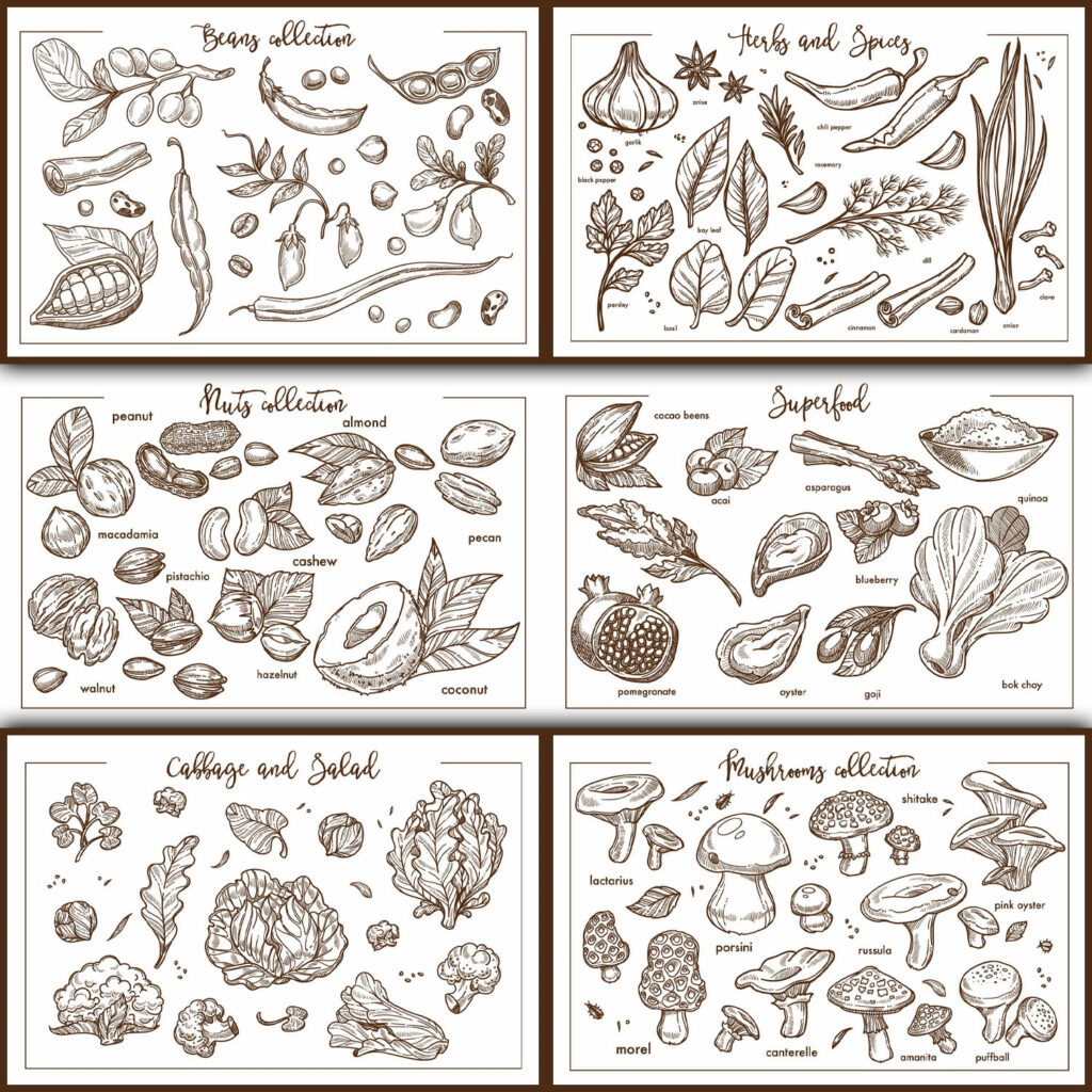 Food Sketch Collection – MasterBundles