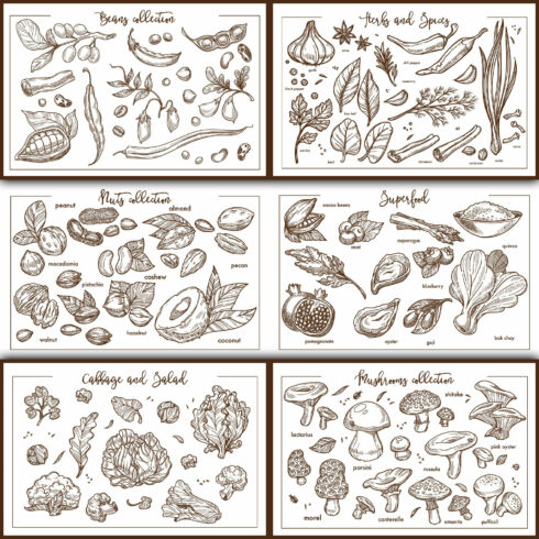 Food Sketch Collection – MasterBundles