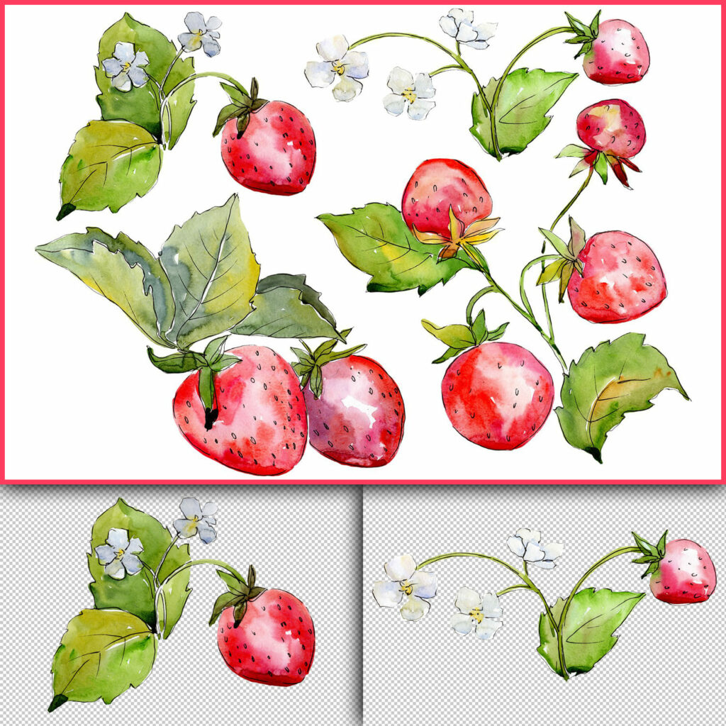 Juicy Strawberry Watercolor PNG – MasterBundles