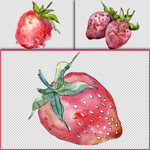 Strawberry Cultivar "Malvina" Watercolor Png – MasterBundles