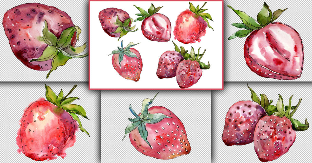 Strawberry Cultivar "Malvina" Watercolor Png – MasterBundles