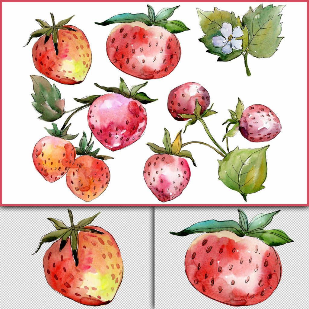 Strawberry "Queen Elizabeth" Watercolor Png – MasterBundles