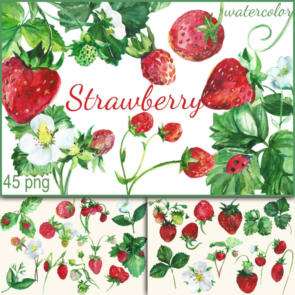 Watercolor Strawberry Decor Clipart. Farmhouse Kitchen Decor ...