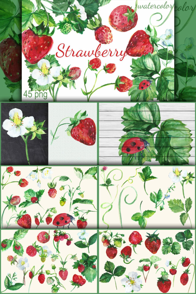 Watercolor Strawberry Clip Art – MasterBundles