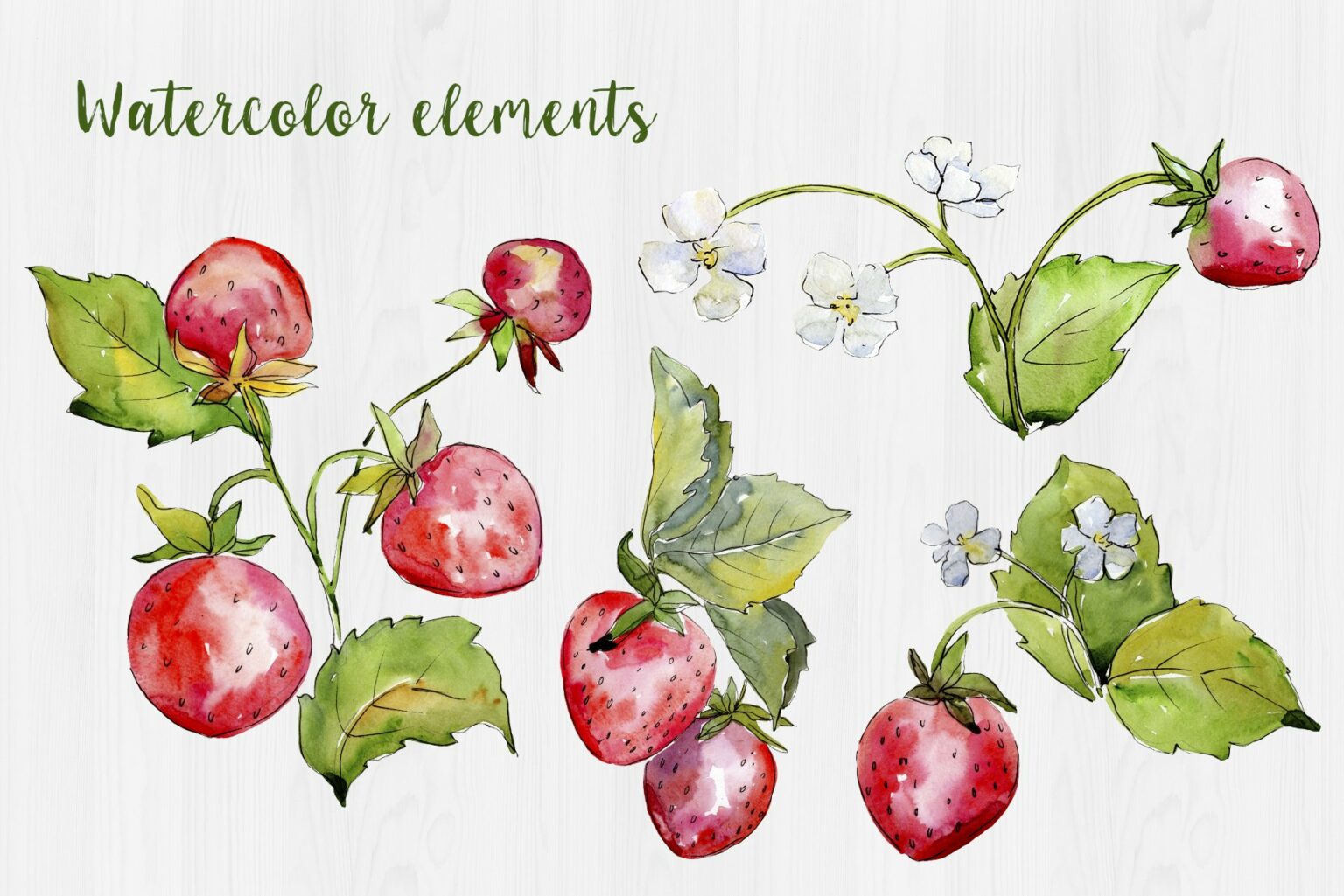 Sweet Watercolor Strawberry PNG – MasterBundles