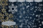 Snowflake Photoshop Brush Set – MasterBundles