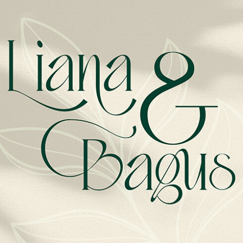 Alena Serif Font – only $15 | MasterBundles